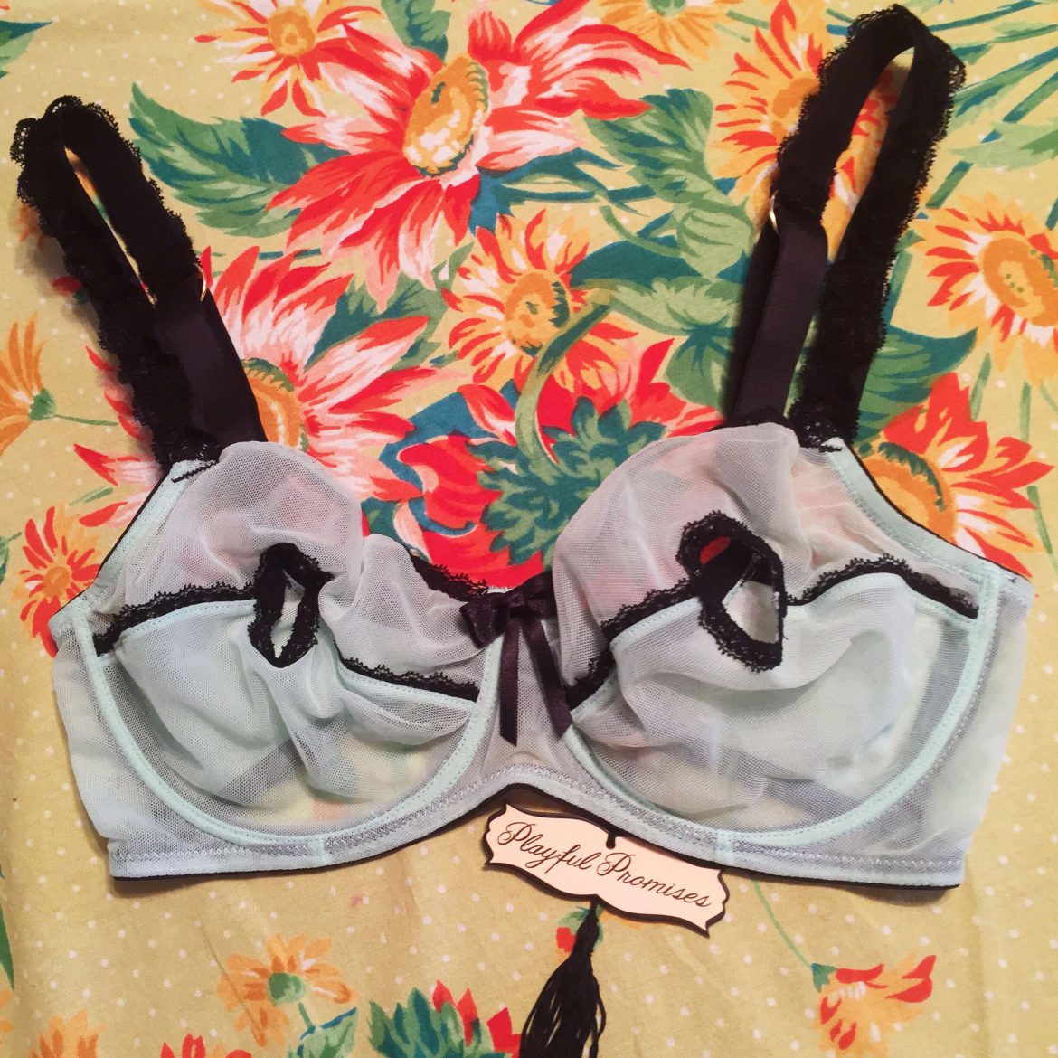 Lingerie Review: Playful Promises Miranda Peep-Hole Bra & Ouvert Brief ...
